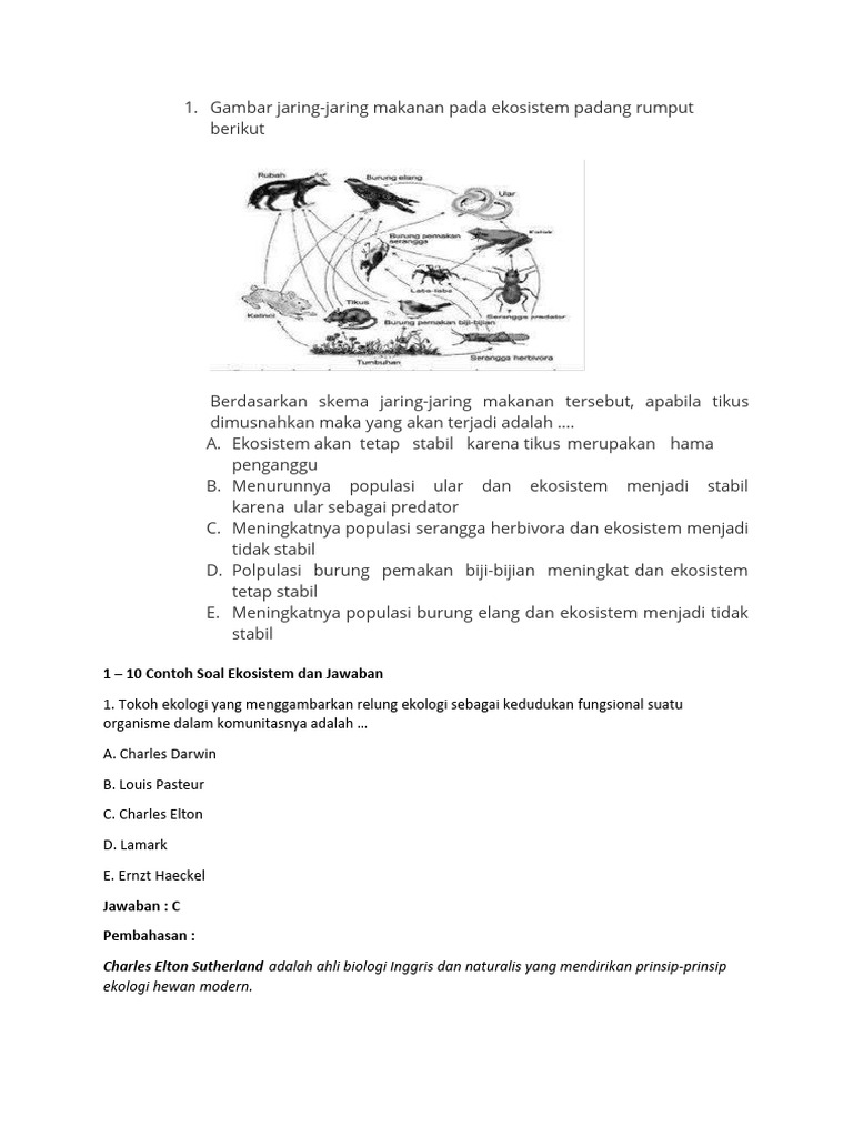 Contoh Soal Ekosistem Pdf