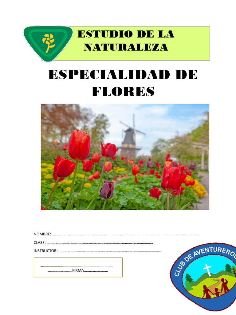 Especialidad en Flores y su Significado | PDF