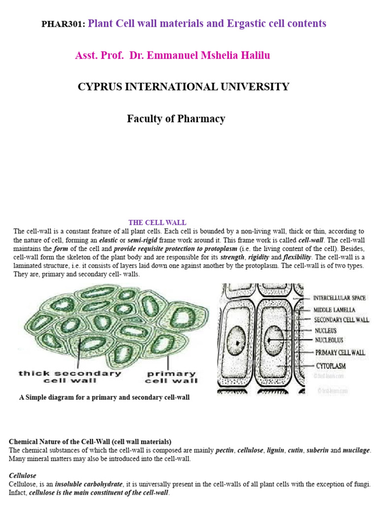 Phar301 Lecture 2c Pdf Cell Wall Cellulose 