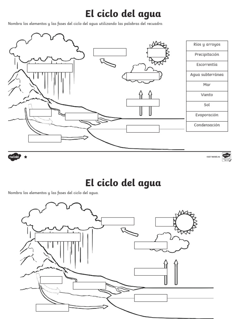 Es2 Ss 55 El Ciclo Del Agua Ficha de Actividad de Atencion A La ...