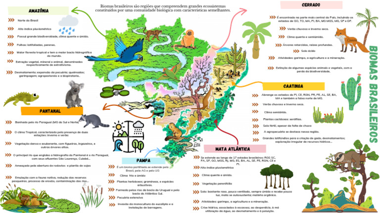 Mapa Mental - 4º Bimestre Geografia | PDF | Florestas | Biogeografia