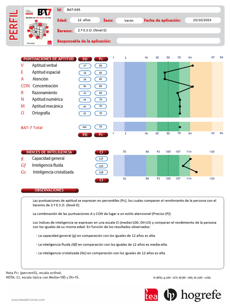 Perfil - BAT 7 Ejemplo | PDF