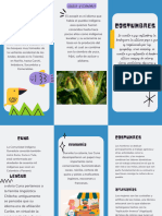 Cultura y tradiciones awakateko | PDF