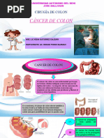 Anatomía y Fisiología Anorectal | PDF | Recto | Sistema digestivo