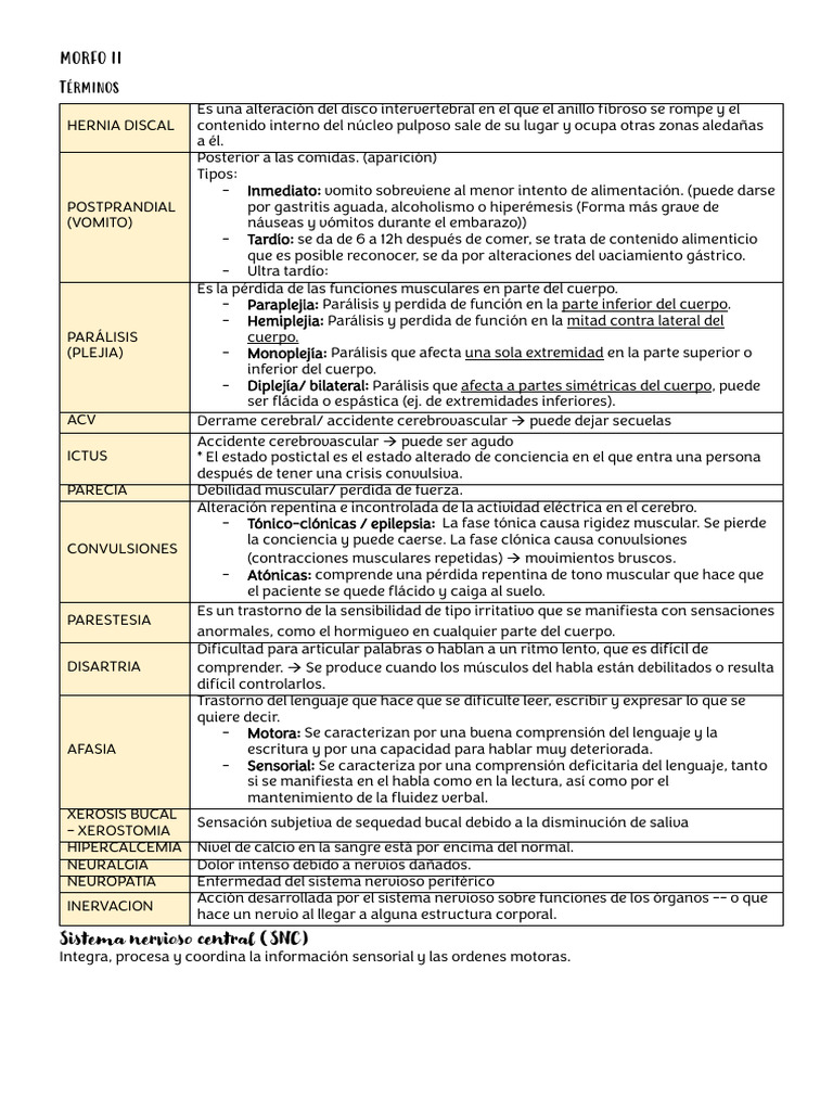 Morfo Ii-Pao1 - 2023 | PDF | Pulmón | Sistema respiratorio