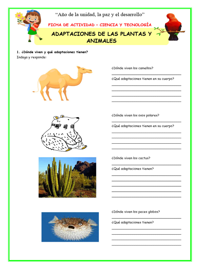 Ficha-juev-cyt-Adaptaciones de Las Plantas y Animales | PDF | Mimetismo ...