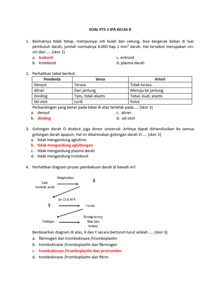 Soal PTS 2 Ipa Kelas 8 | PDF