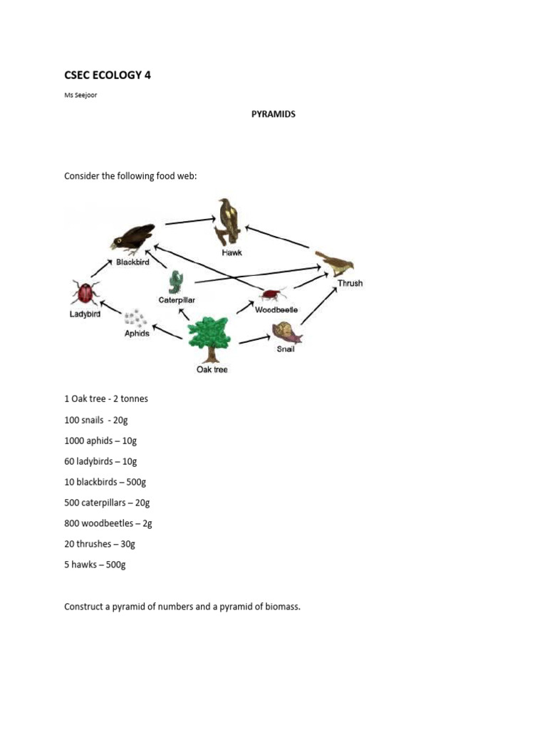 Csec Ecology 3 | PDF | Food Web | Biomass (Ecology)