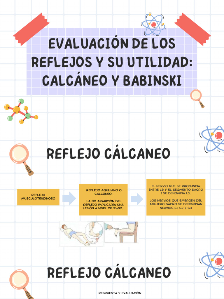 Evaluación de Los Reflejos y Su Utilidad Calcáneo y Babinski | PDF ...