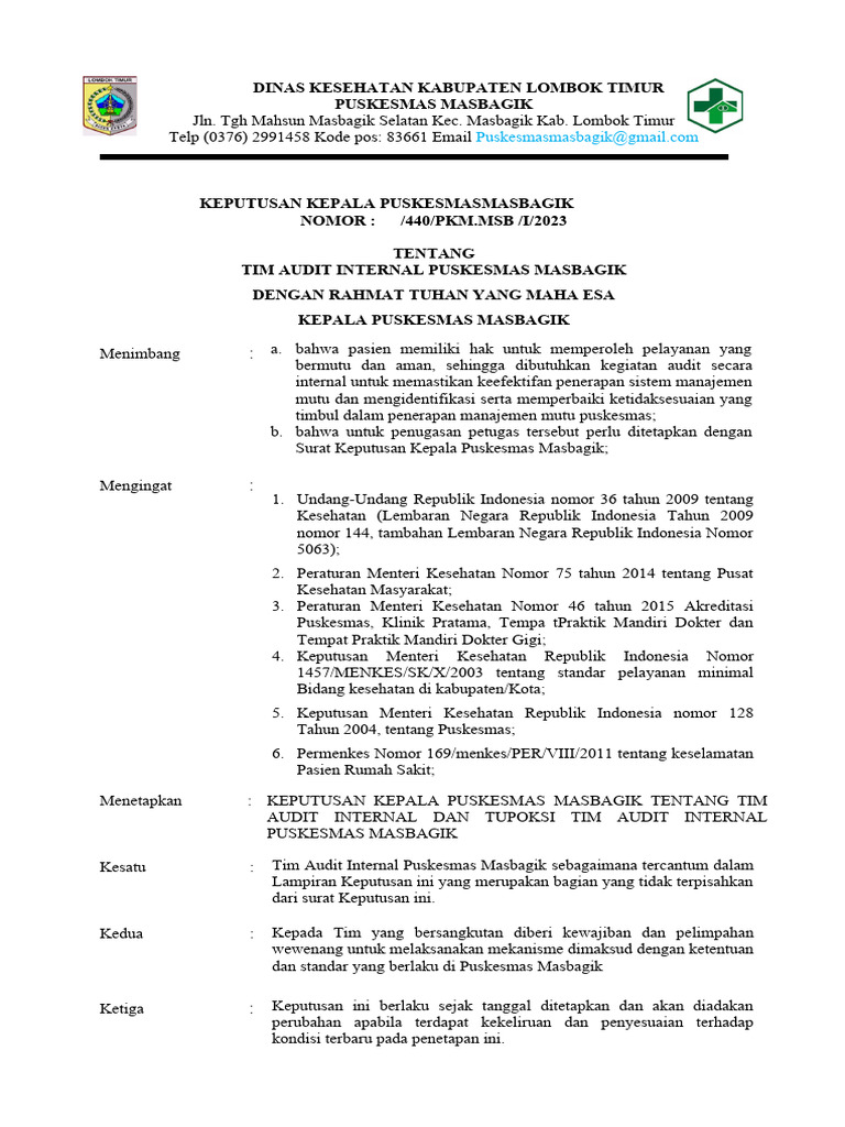 25.SK Tim Audit Internal | PDF