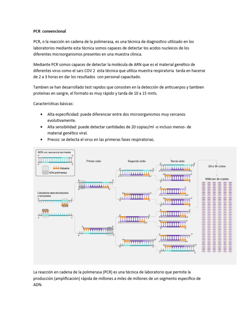 Tipos de PCR | PDF | Reacción en cadena de la polimerasa en tiempo real | Reacción en cadena de ...