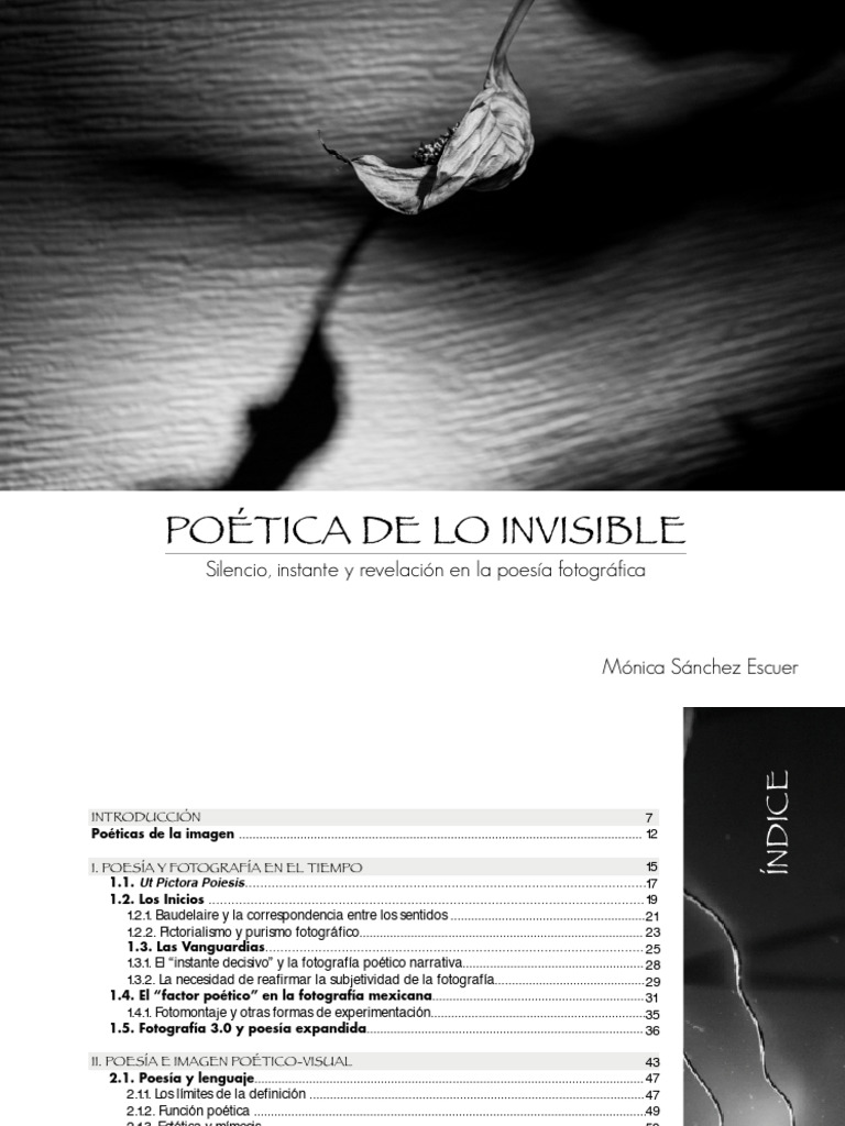 Poe_tica_de_lo_invisible | PDF | Poesía | Imagen