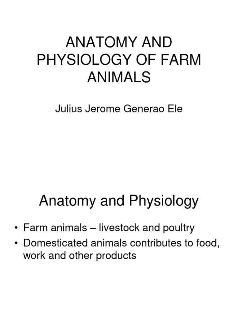 Anatomy and Physiology of Farm Animals | PDF | Atrium (Heart ...