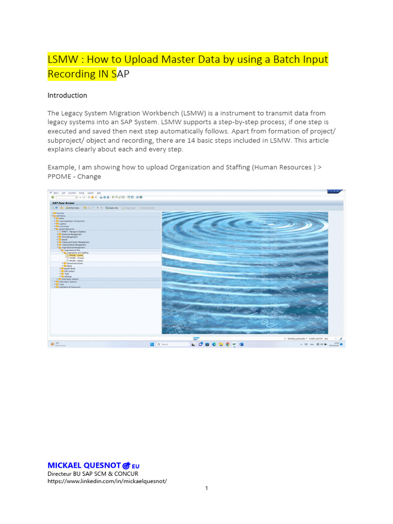 LSMW Master Data Upload in SAP Guide | PDF | Computer Architecture | Computer Engineering