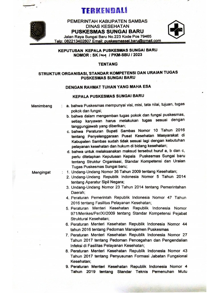SK Struktur Orgnisasi PKM | PDF