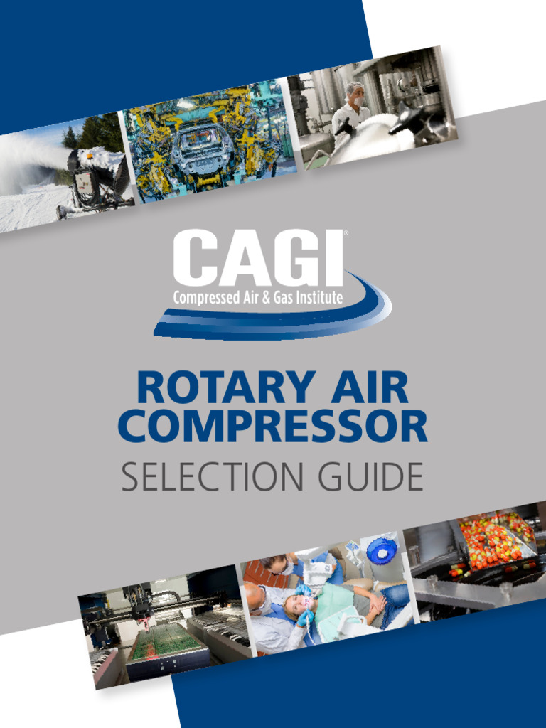 Rotary Selection Guide Final June 2022 | PDF | Pump | Engines