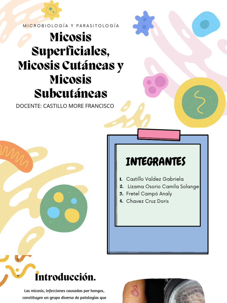 Micosis Superficiales, Micosis Cutáneas y Micosis Subcutáneas | PDF