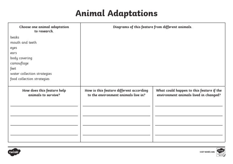 Animal Adaptations Research Activity Sheet | PDF | Language Arts ...