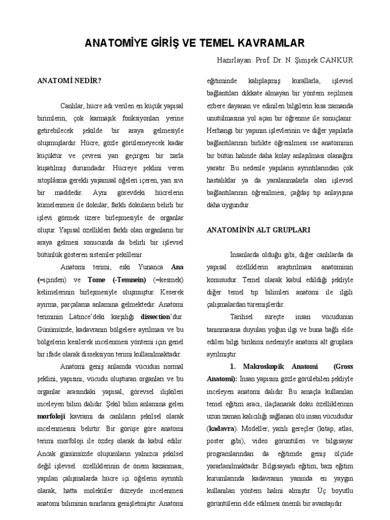 Anatomiye Giris Ve Temel Kavramlar | PDF