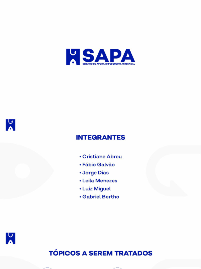 SAPA - Slide Completo | PDF