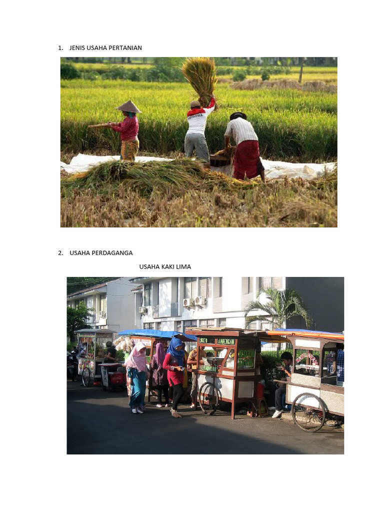 Jenis Usaha Ekonomi Perorangan | PDF