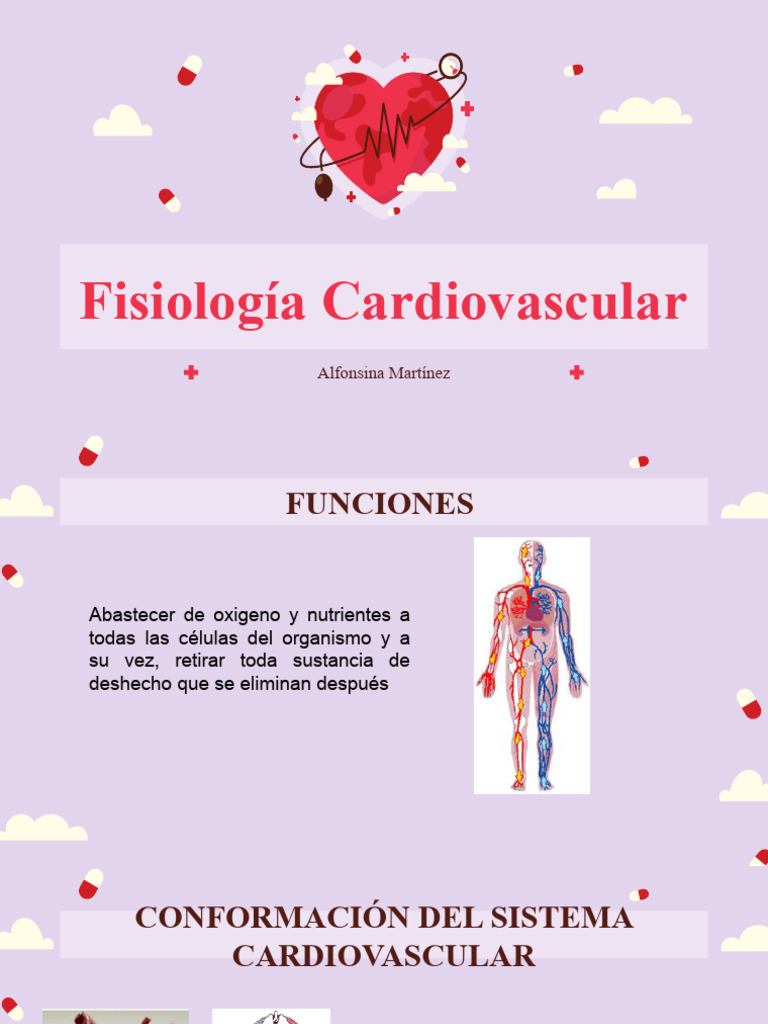 Fisiologia Cardiovascular Pdf Corazón Ventrículo Corazón