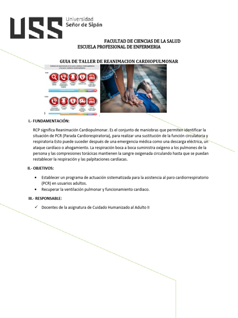 Guia RCP | PDF | Reanimación cardiopulmonar | Paro cardíaco