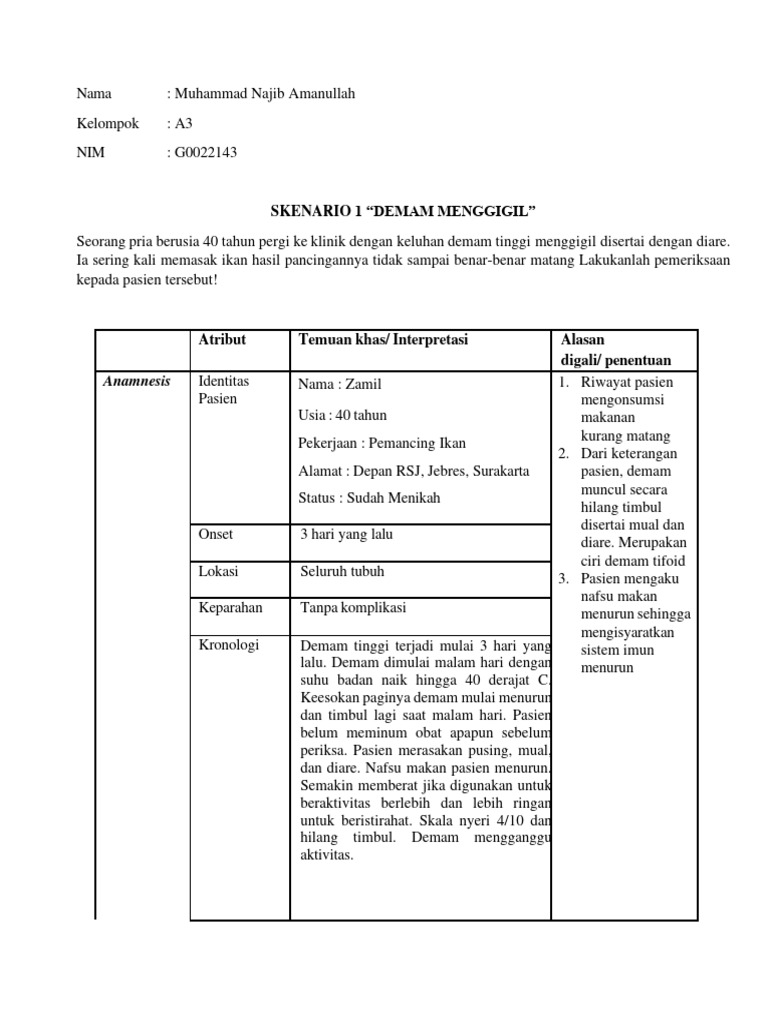 G0022143 - A3 - Muhammad Najib Amanullah - Skenario1 | PDF
