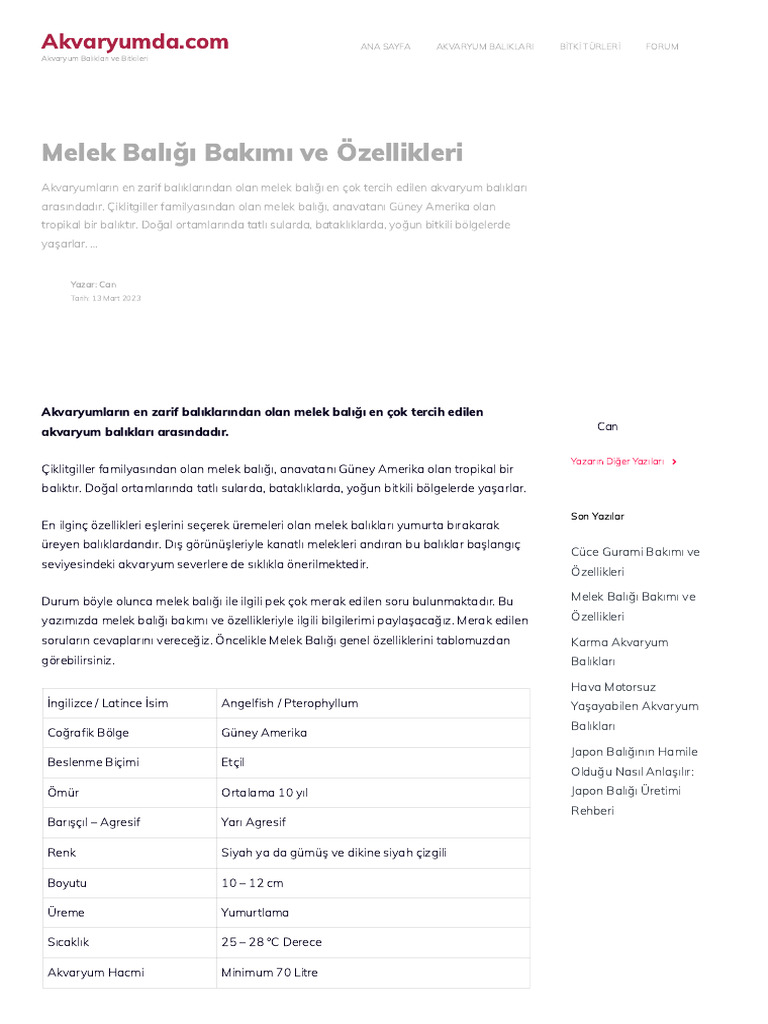 Melek Balığı Bakımı Ve Özellikleri (Rehber) | PDF