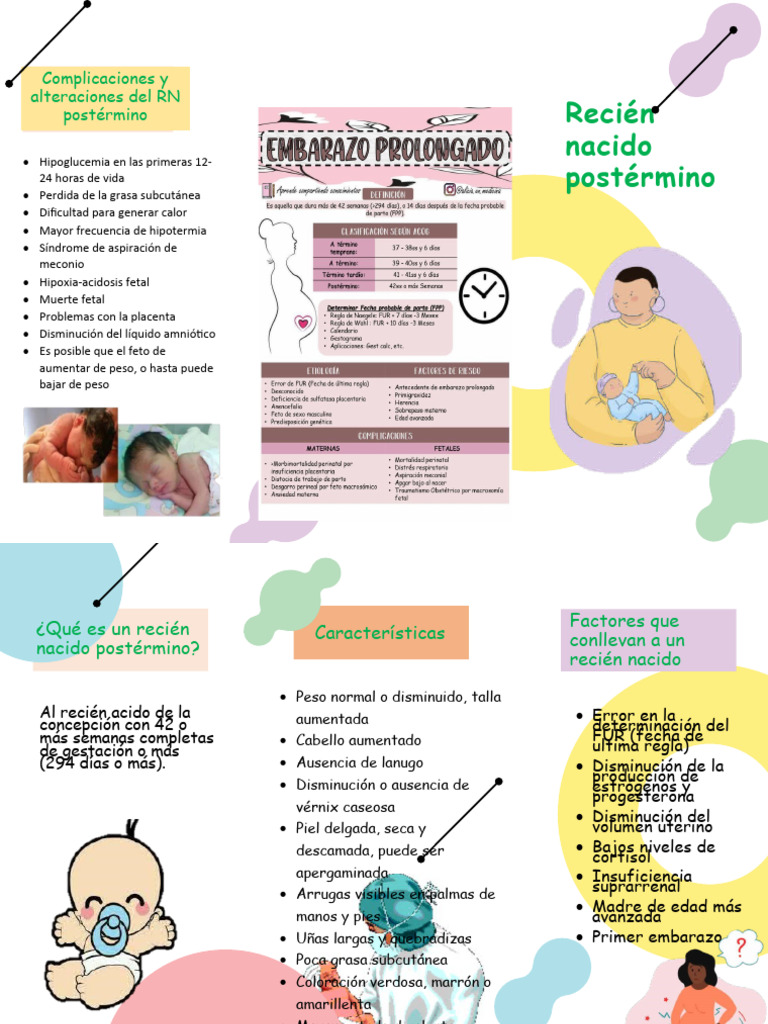 RN Postermino | PDF | El embarazo | Feto