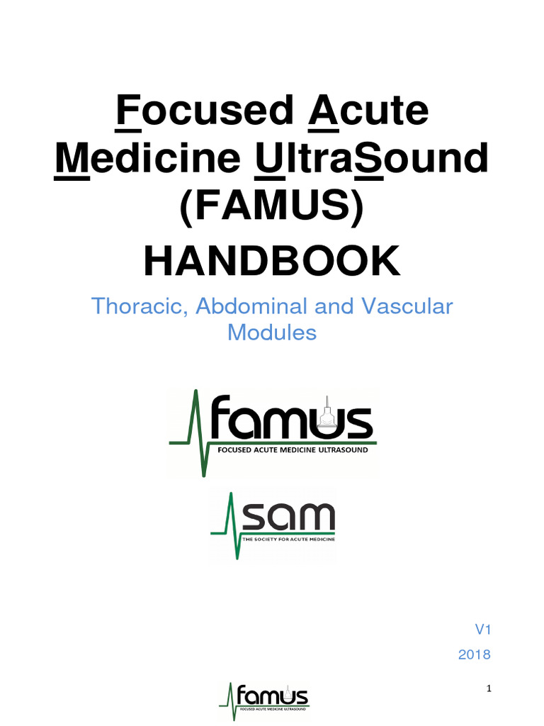 Famus Handbook v1 2018 | PDF
