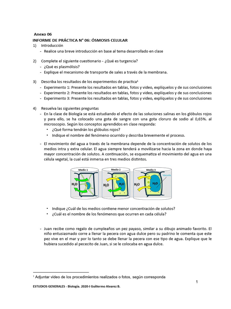 Anexos - Informes de Pract | PDF