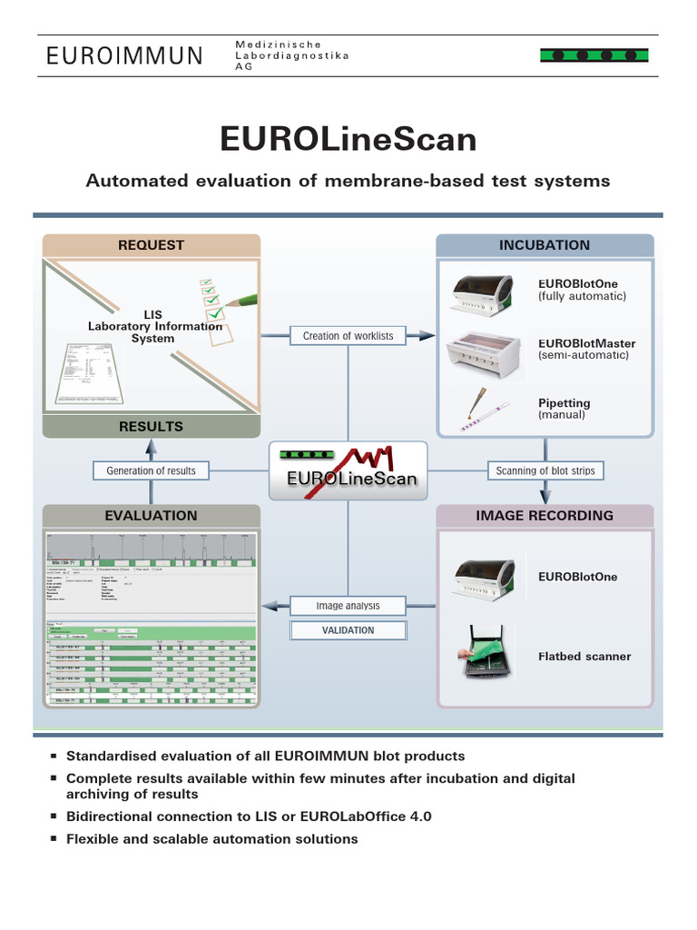 Euroimmun | PDF | Western Blot | Image Scanner