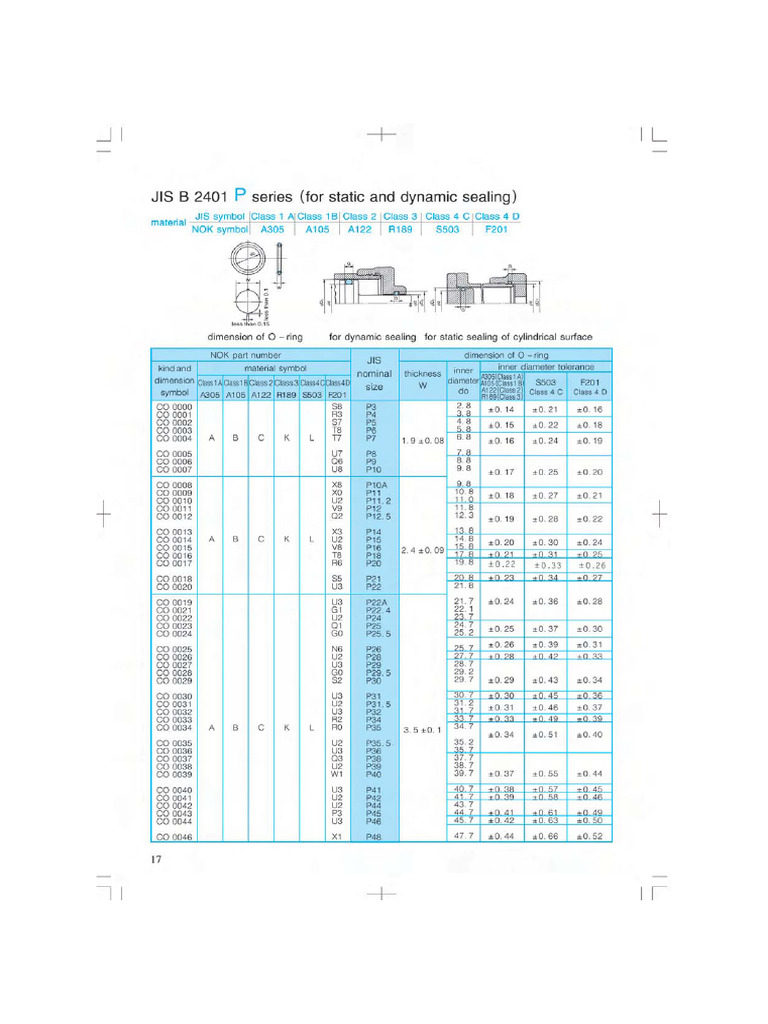 O-Ring-JIS P G V | PDF