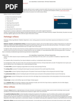 Deep Tendon Reflex Testing Guide | PDF | Neuroanatomy | Nervous System