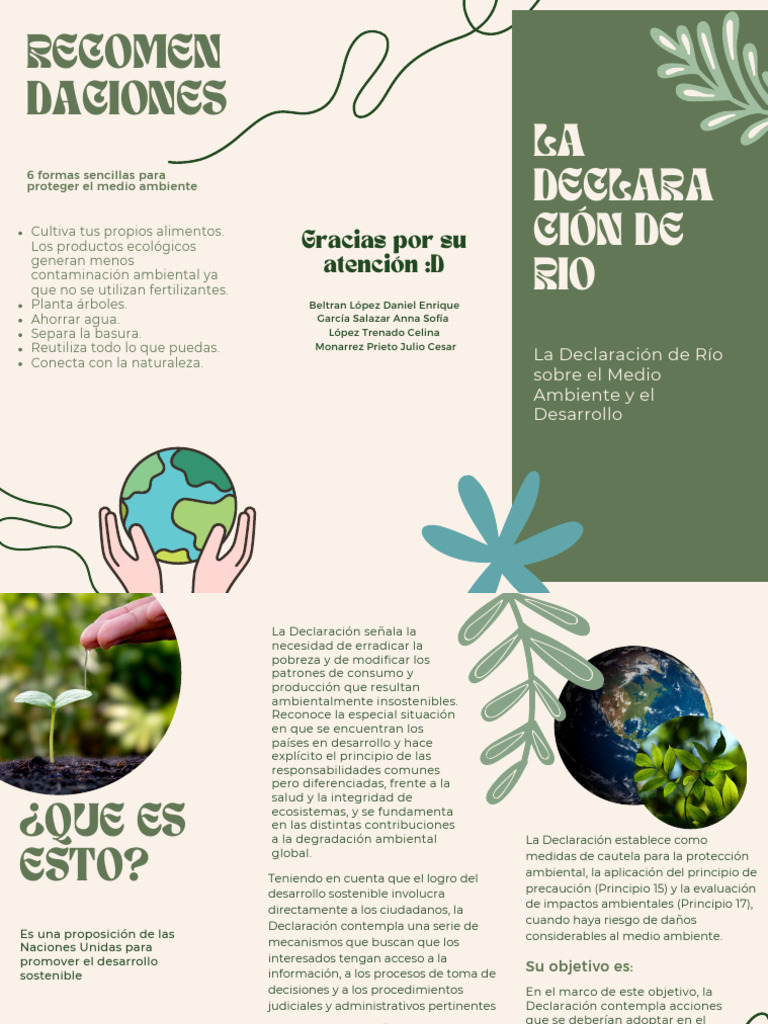 La Declaración de Rio | PDF | Entorno natural | Economía y medio ambiente