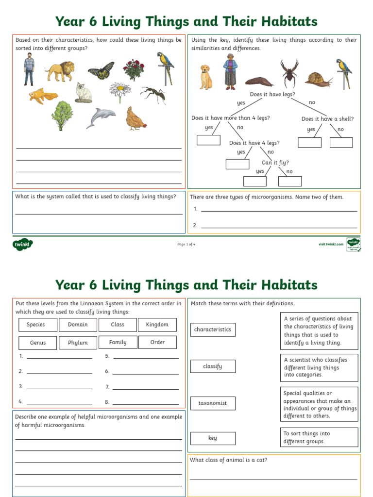 T SC 2550043 Ks2 Year 6 Living Things and Their Habitats Revision ...