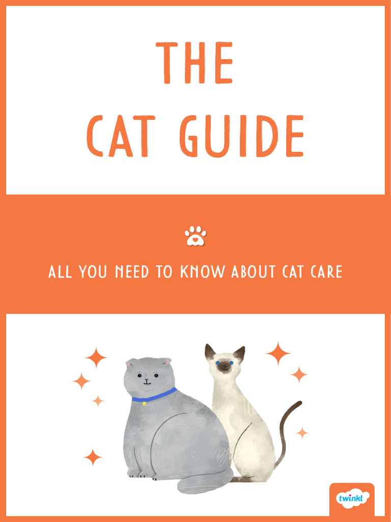 Essential Cat Care Guide | PDF