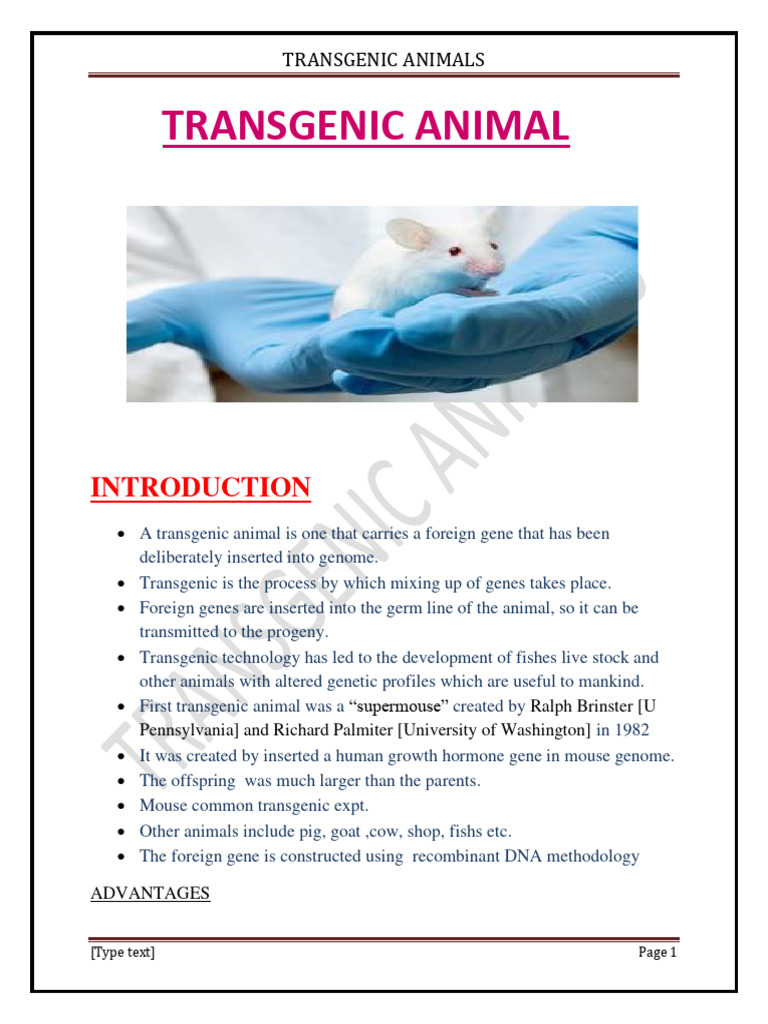 Unit 1 Transgenic Animals 1 | PDF | Gene | Insulin