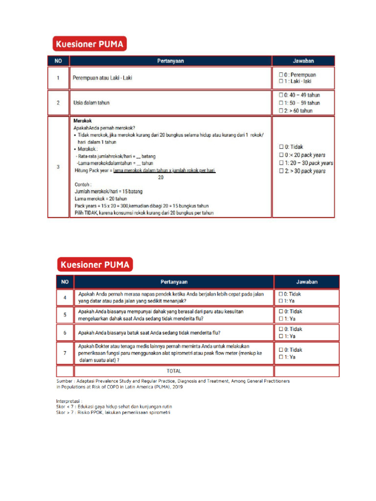 Kuisioner PUMA | PDF