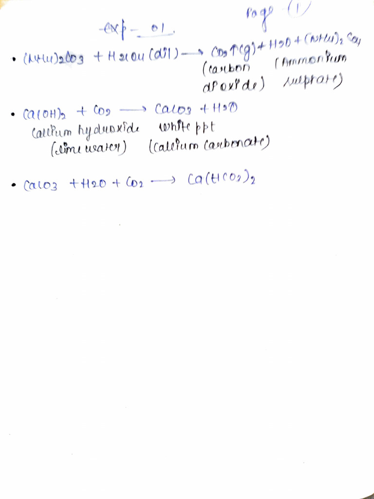 Chemistry Practical File Part 1 For 2023 24 Pdf