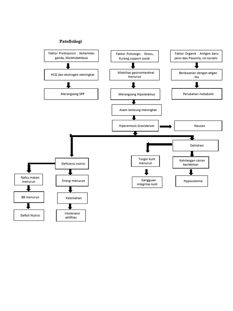 Hiperemesis Gravidarum: Faktor & Dampak | PDF