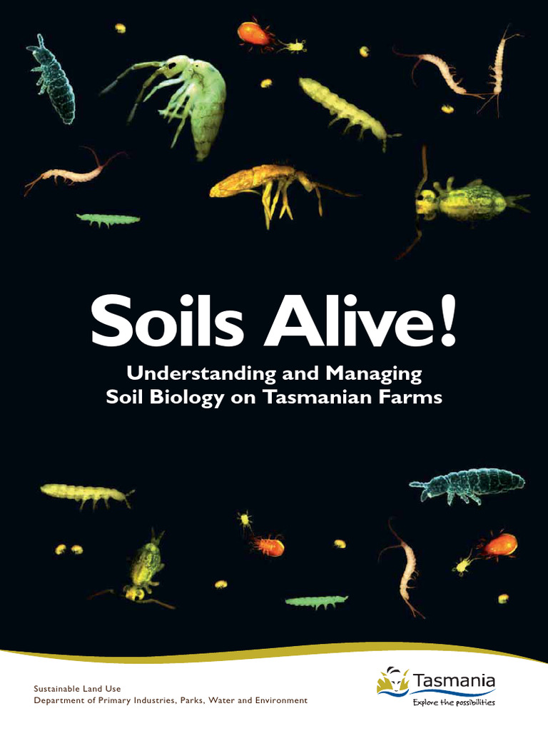 Soils Alive | PDF | Soil | Fungus