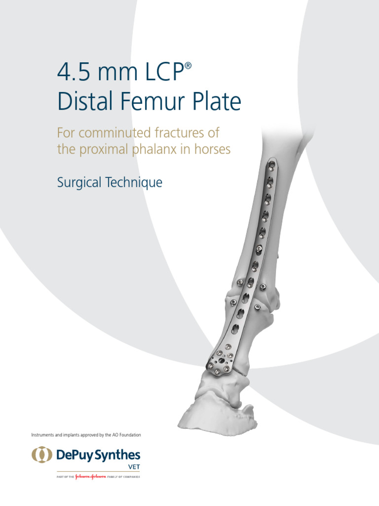 129426-191212 DFP Surgical Technique Guide - 2 | PDF | Technology ...