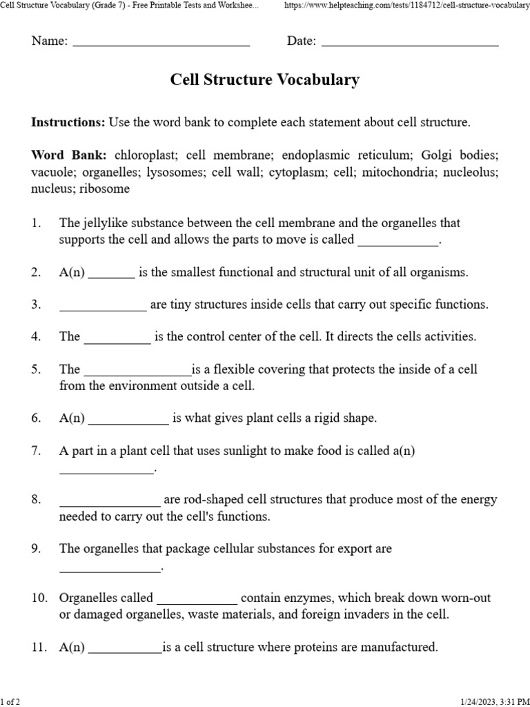 Cell Structure Vocabulary | PDF | Cell (Biology) | Organelle