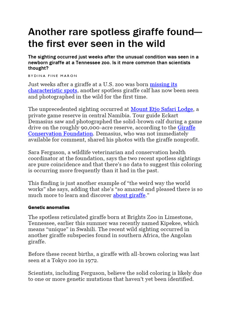 Another Rare Spotless Giraffe Found | PDF | Home & Garden