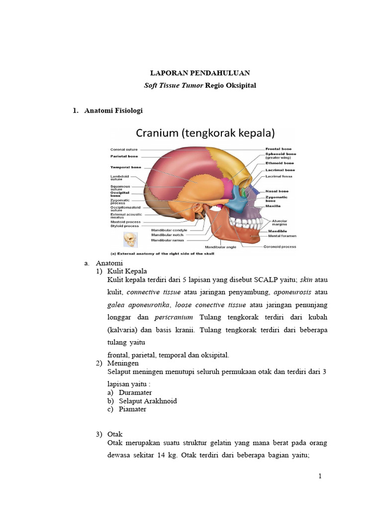 LP Tumor Ok | PDF
