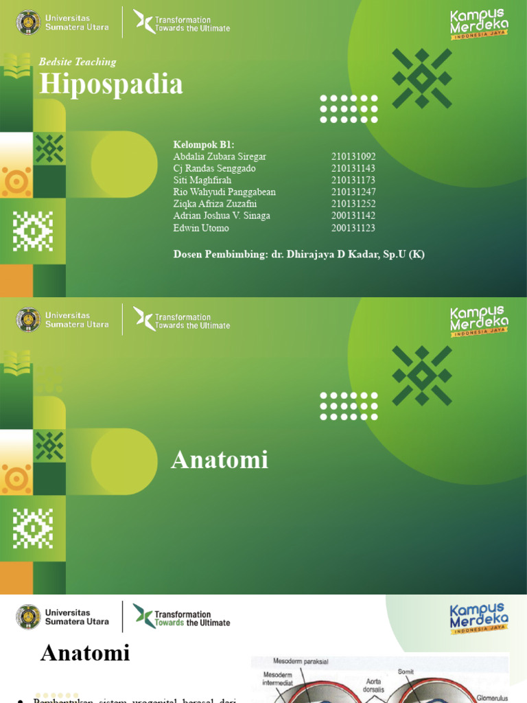 BST B1 - Hipospadia | PDF