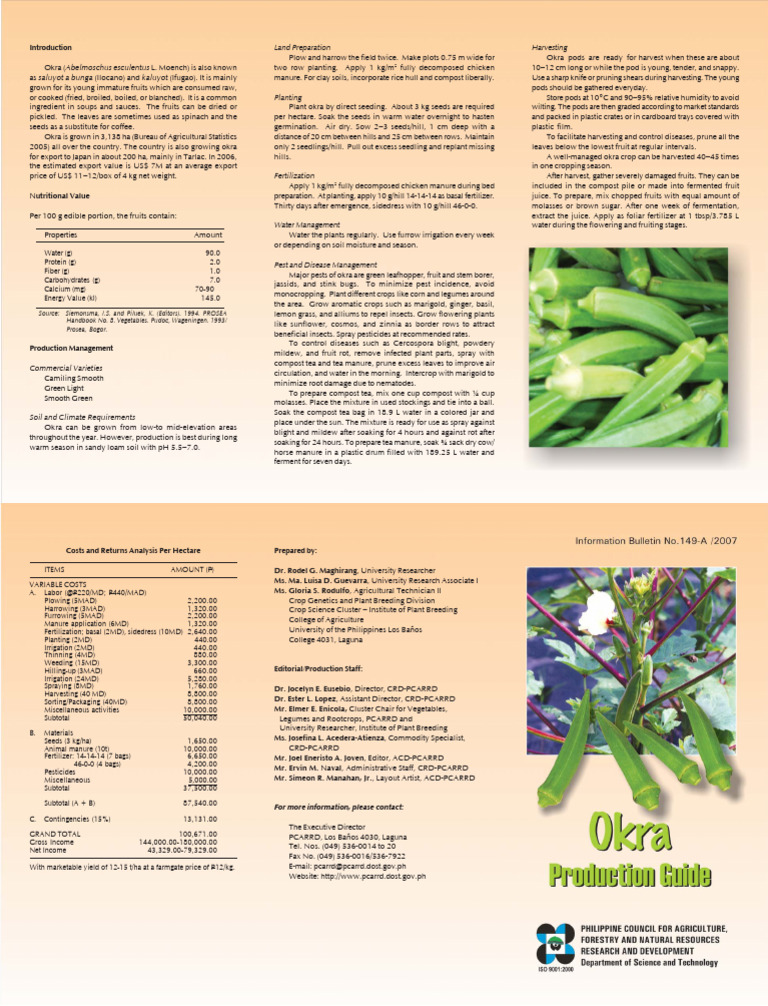 Okra Production Guide - Beta - 356244 | PDF | Compost | Sowing