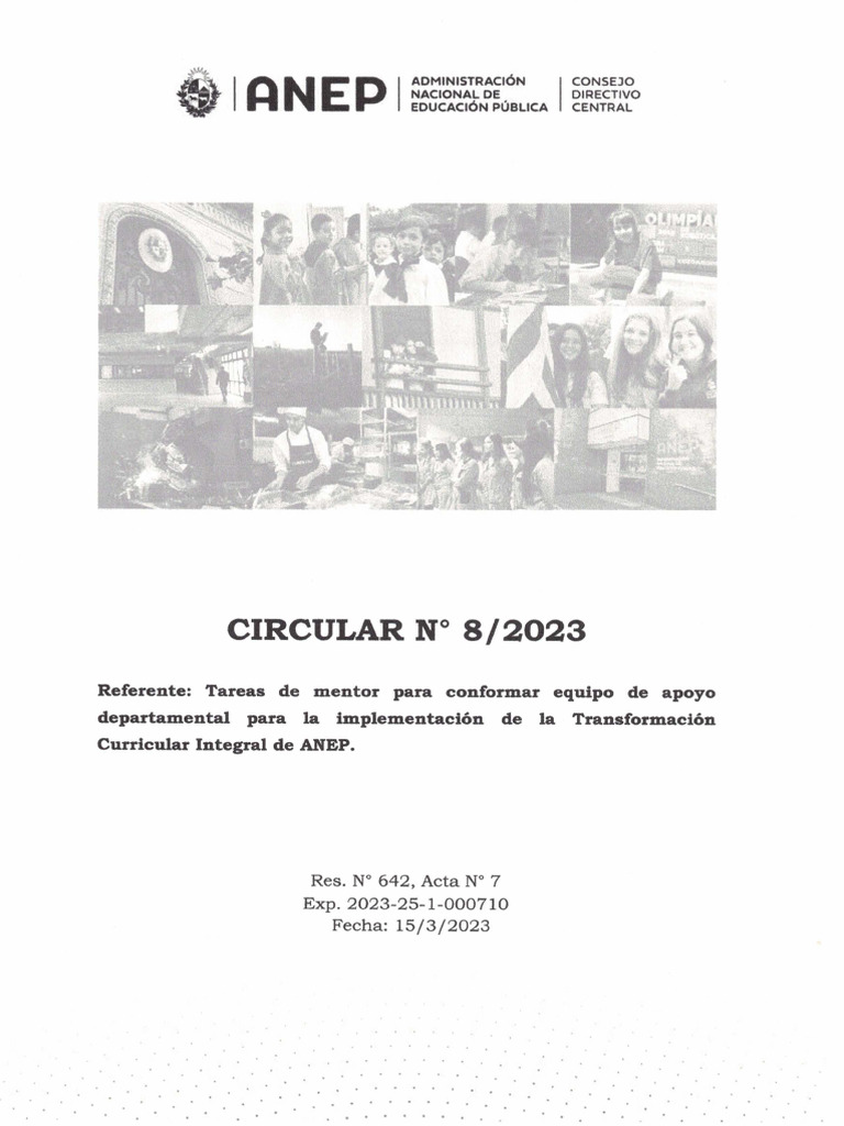 Circular 8-23 Mentor Anep | PDF